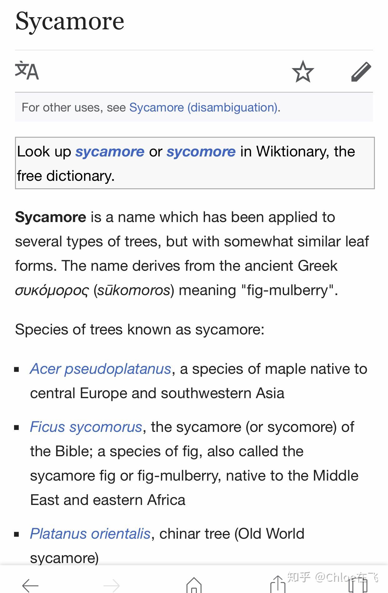 为什么flipped中把The Sycamore tree译为无花果树？ - 知乎