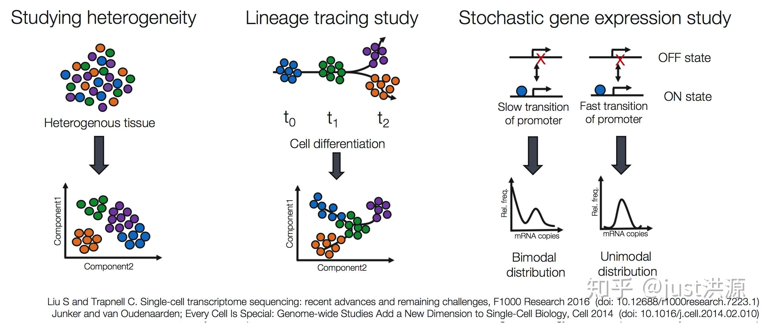 scRNA-seq入门 —— 第一章 简单介绍 - 知乎