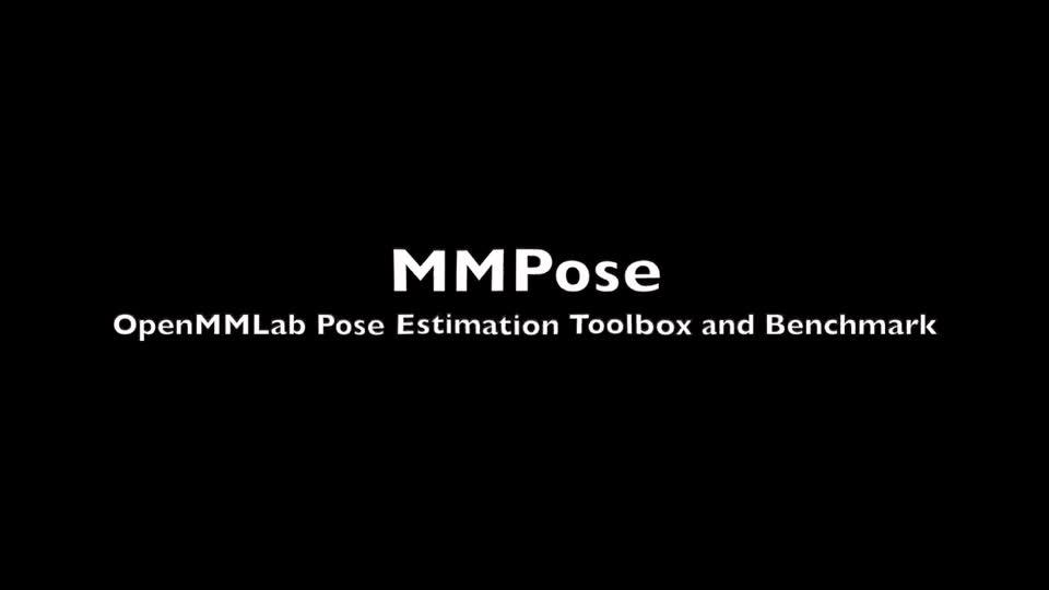 爱上她的 N 个理由！OpenMMLab 姿态估计工具箱：MMPose - 知乎