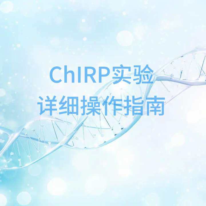 CHIRP实验详细操作指南，一看就会 - 知乎