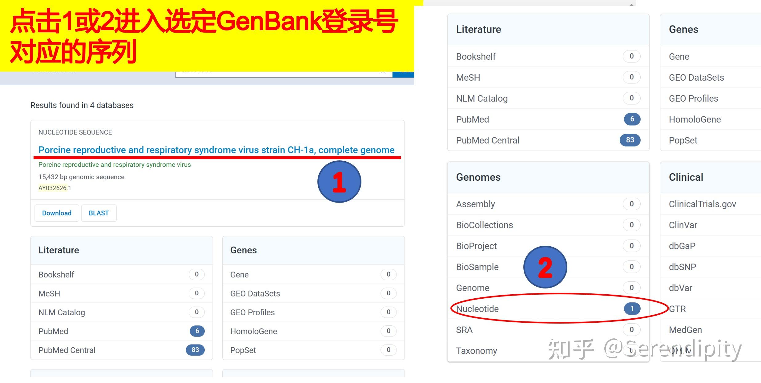 如何根据GenBank登录号在NCBI下载基因组序列 - 知乎