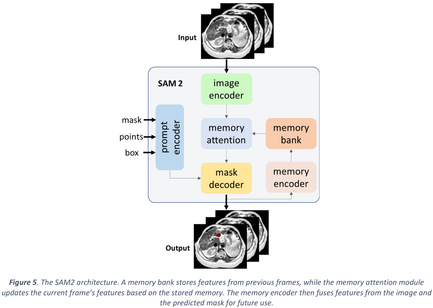 SAM/SAM2赋能视频万物分割与追踪：一篇“过去、现在、未来”的全面综述 - 知乎