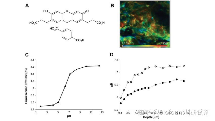 BCECF（CAS: 85138-49-4；pH荧光指示剂） - 知乎