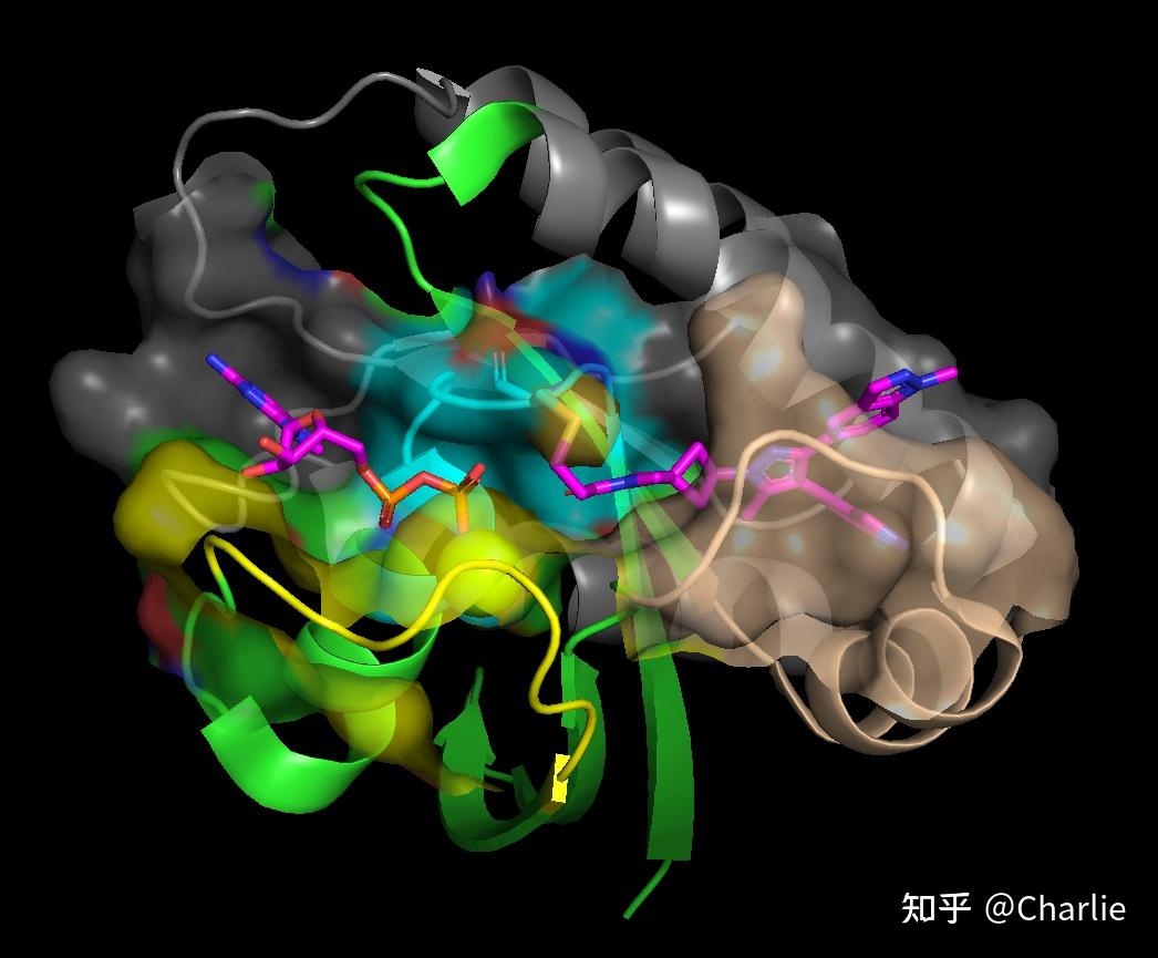 1-2 药化视角_RMC6236 - 知乎
