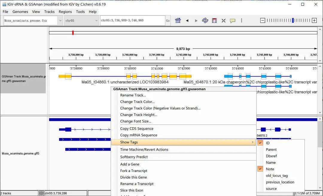 IGV-GSAman |「功能基因组时代」的高效率科研工具 - 知乎