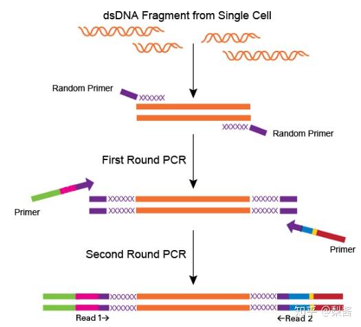 [软件使用 1] cutadapt使用指南 - 知乎