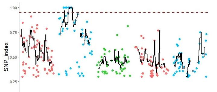 R绘图|染色体SNP指数图绘制 - 知乎