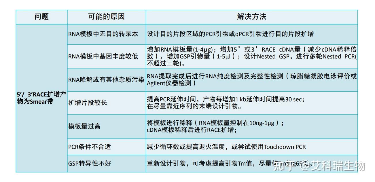注意这些细节，为 RACE 实验保驾护航 - 知乎