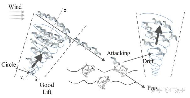 多目标优化算法：多目标海鸥优化算法（Multi-objective Seagull optimization algorithm，MOSOA ...