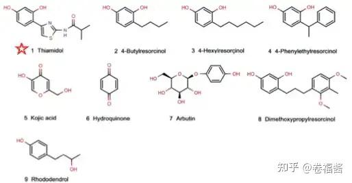 377 和 577 都是网红美白成分，到底谁更猛？577 会接棒成为新的美白顶流么？ - 知乎