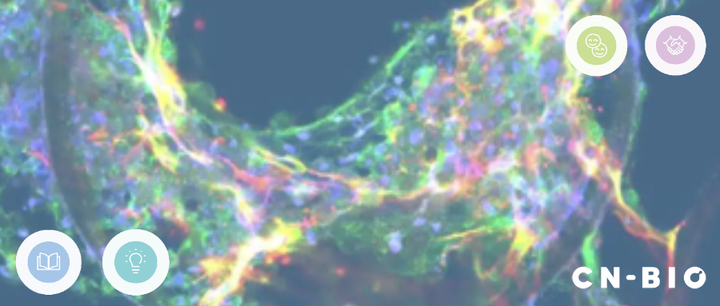 CN-Bio器官芯片应用—NASH IND申报案例_上海曼博生物代理 - 知乎