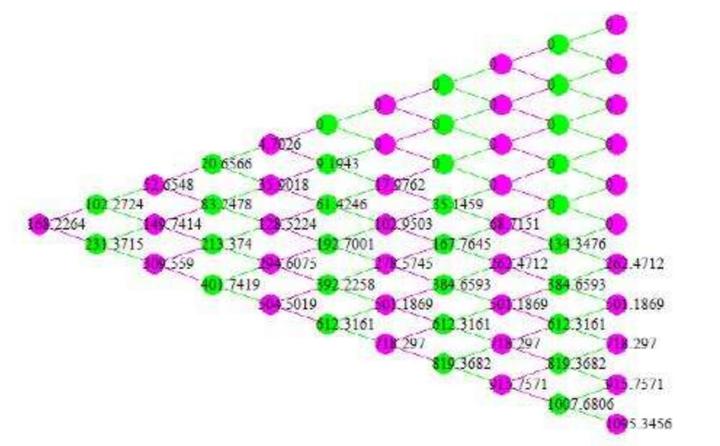 期权的二叉树定价模型 知乎