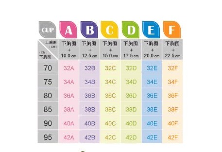 女性罩杯及相关计算 - 知乎