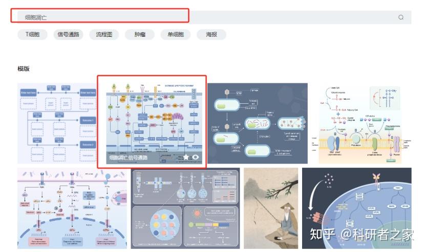 零基础炫CNS级美图 Figdraw 2.0 - 知乎