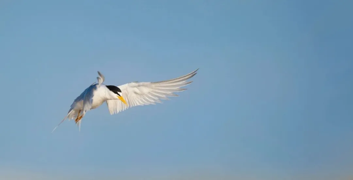 进击的Kubernetes调度系统一：Kubernetes scheduling framework - 知乎