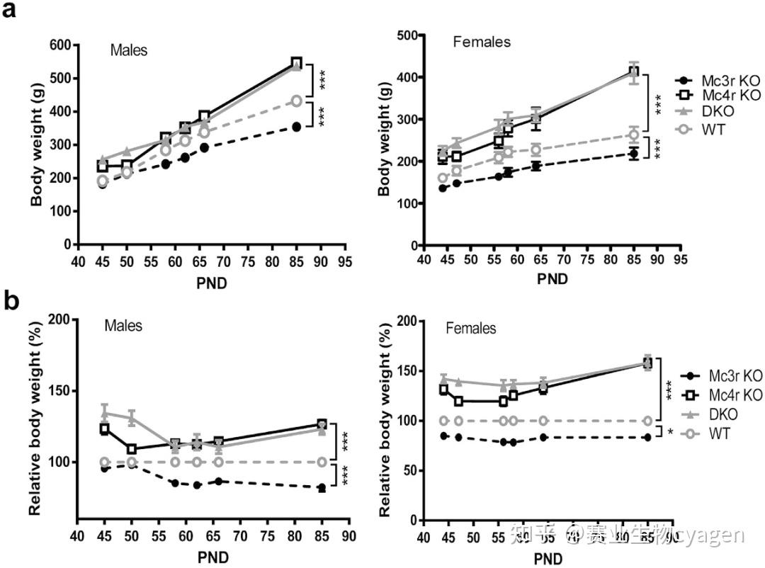 肥胖症研究小鼠介绍（上）：LEP/LEPR经典通路模型 - 知乎