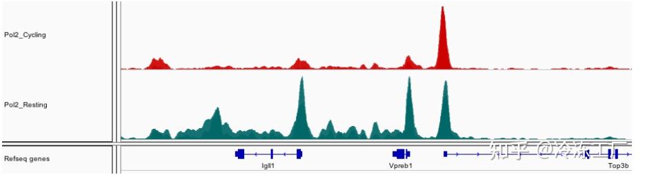 ChIP-seq 分析：Differential Peaks（15） - 知乎