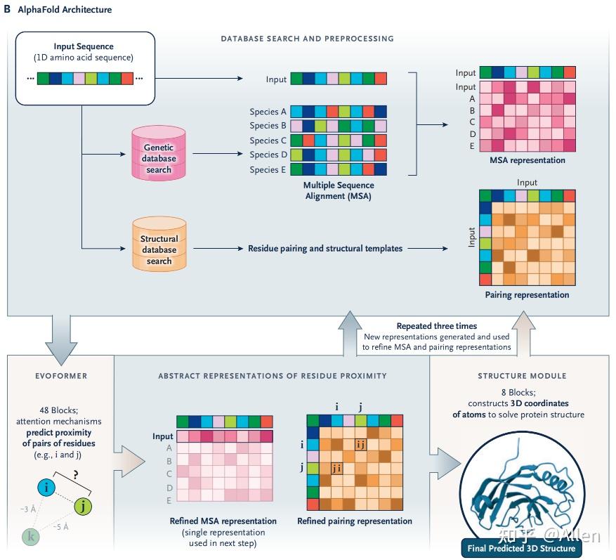 AlphaFold(α-fold)预测蛋白结构及其可视化（pymol）小白教程 - 知乎
