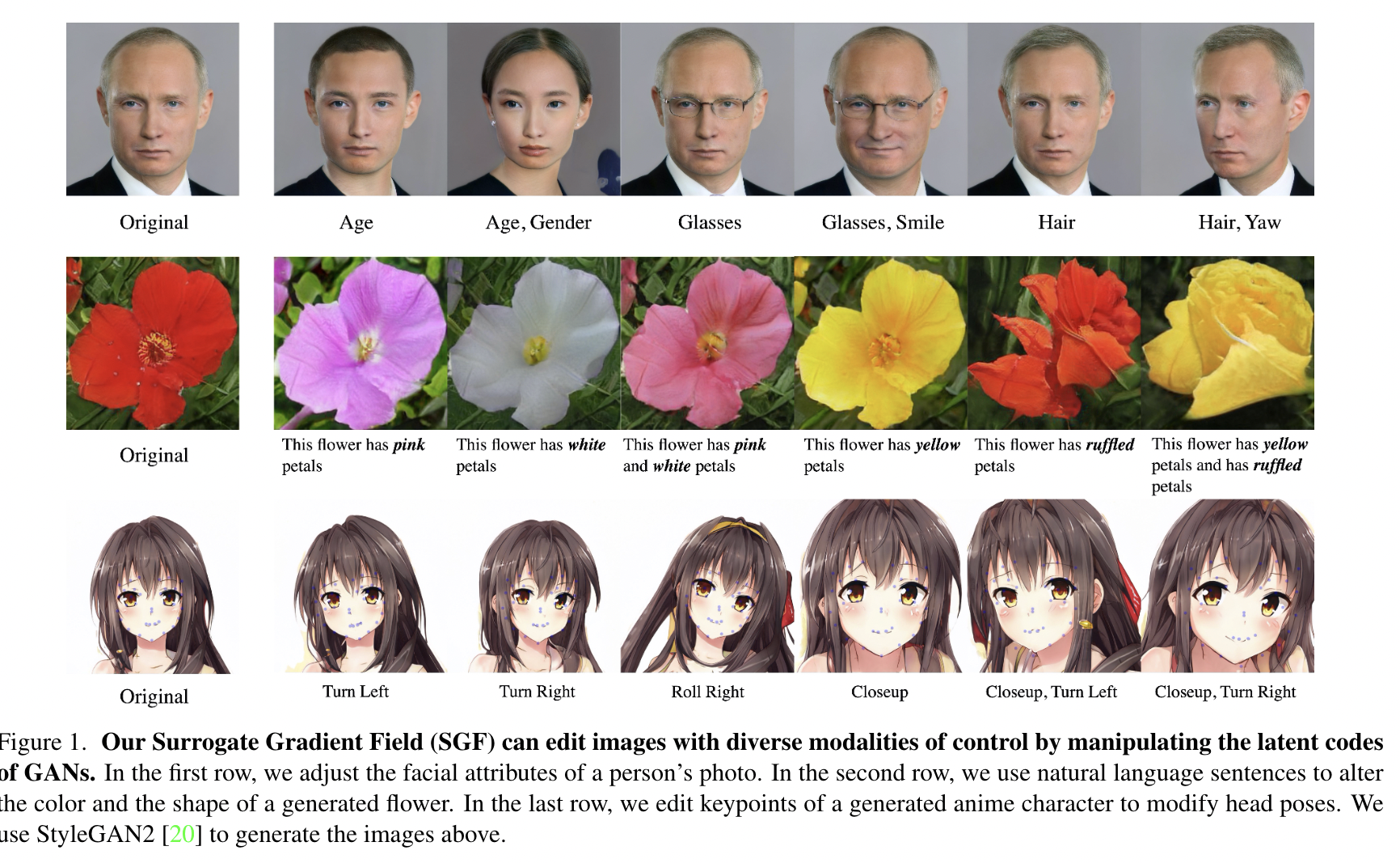 Surrogate Gradient Field for Latent Space Manipulation - 知乎
