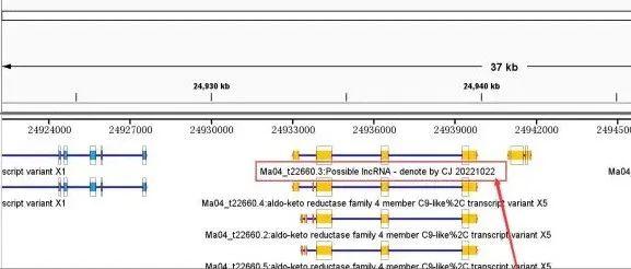 IGV-GSAman |「功能基因组时代」的高效率科研工具 - 知乎