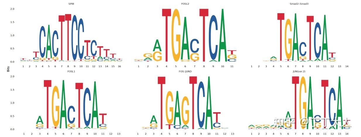 TF Motif分析 - 知乎