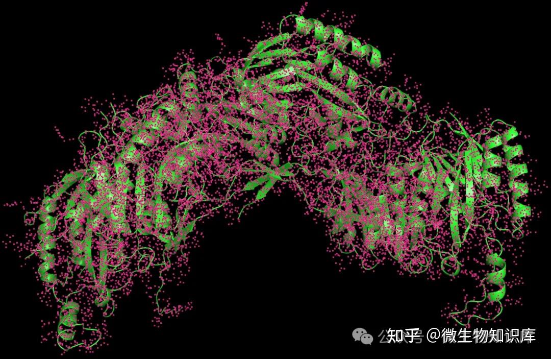 分子对接（六）：PyMol可视化分子对接结果详细教程 - 知乎