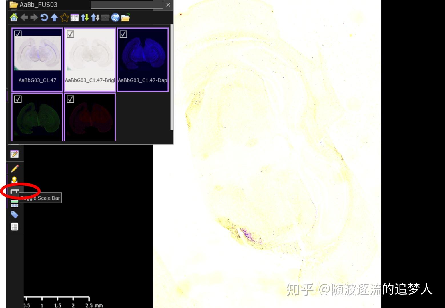 如何从NDP.View 导出图像 - 知乎