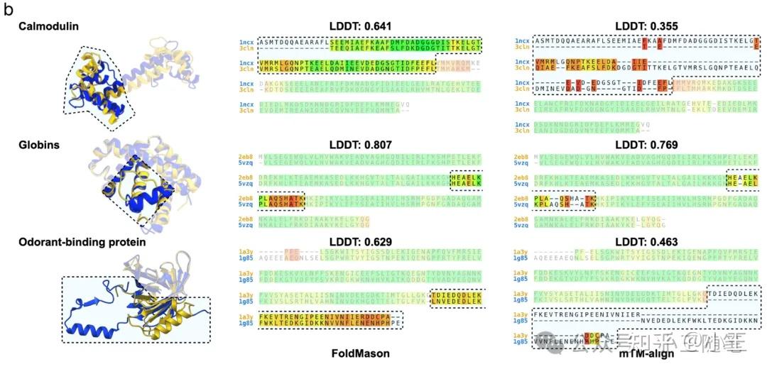 折叠匠人FoldMason：Foldseek系列新作，多结构比对 - 知乎