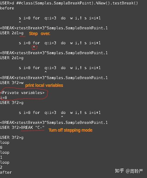 Intersystems. Recipe [Basic] Debugging - 知乎