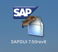 SAP GUI FOR MACOS 配置方法 - 知乎