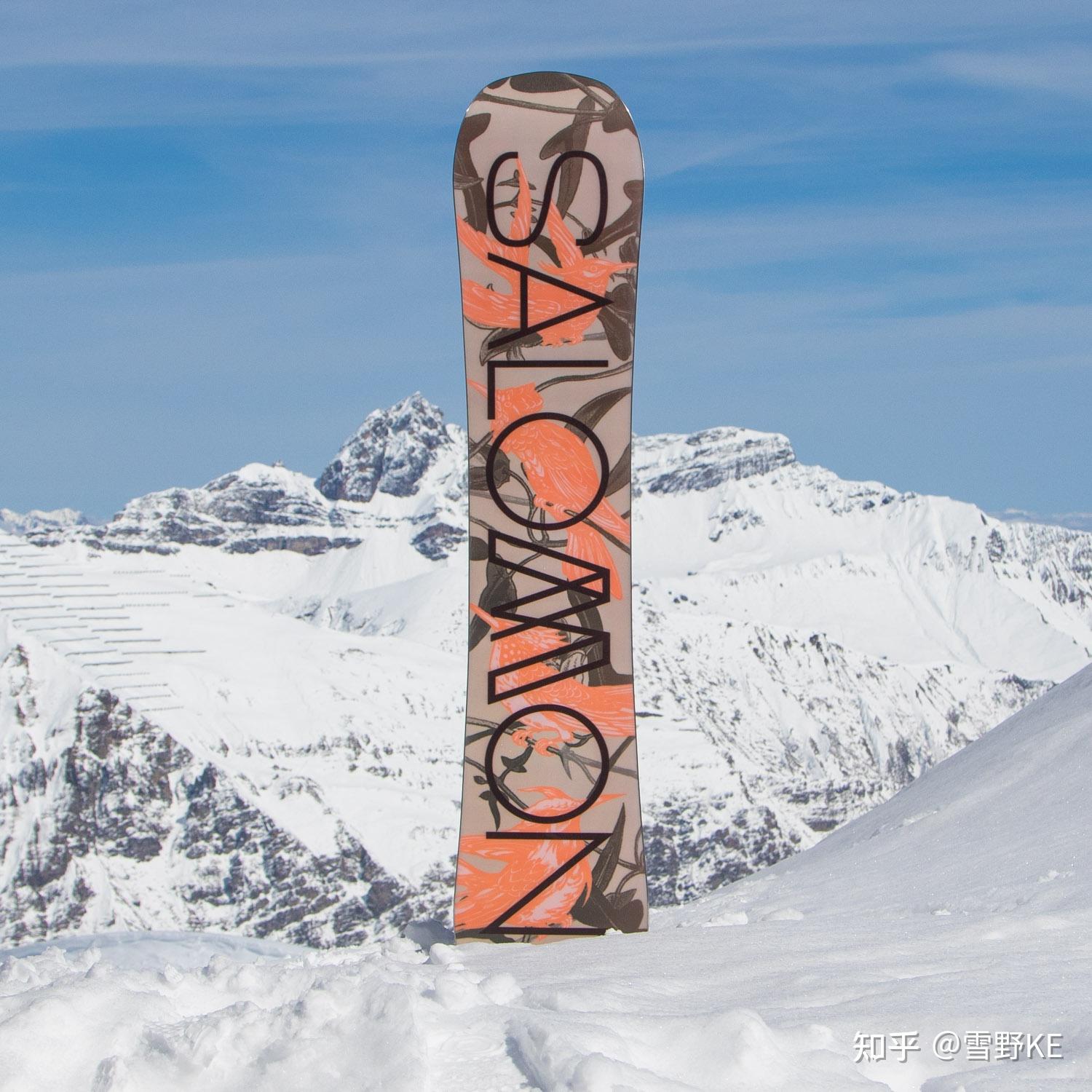 12款适合新手及初级进阶的单板推荐 - 知乎