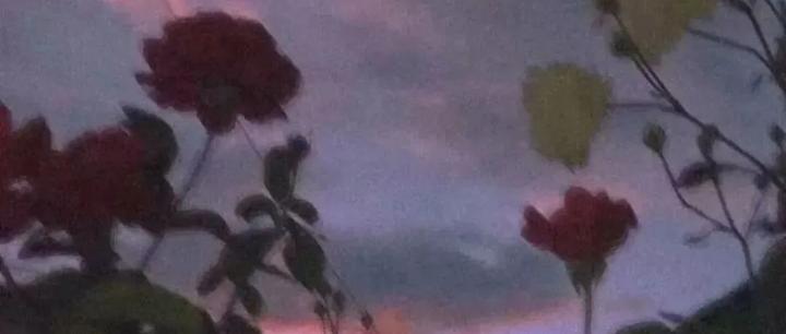文案故事的结局总是这样 花开两朵 天各一方 知乎