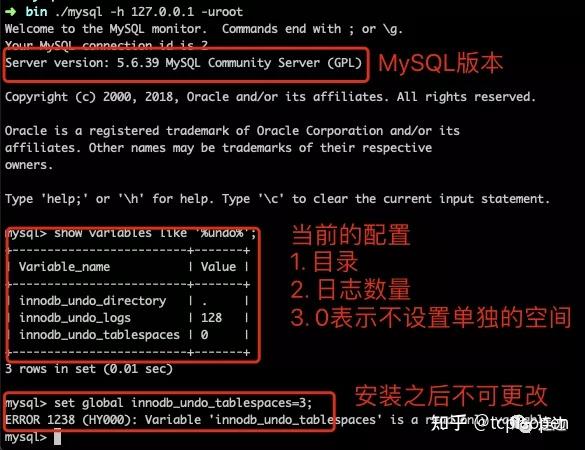 详解 MySQL 的 undo log - 知乎