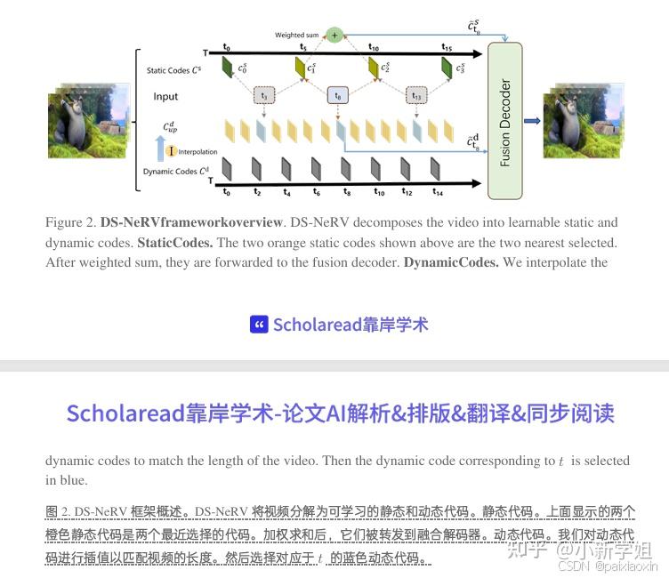 CV-VIDEO经典论文解读|DS-NeRV: Implicit Neural Video Representation with Decomposed Static and Dynamic ...