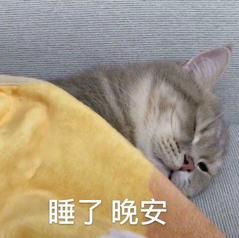 有没有什么早安晚安的表情包？ - 知乎