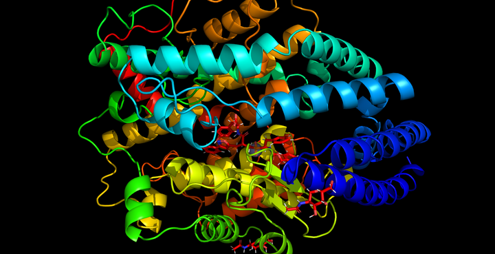 Autodock vina 从安装到分子对接 - 知乎