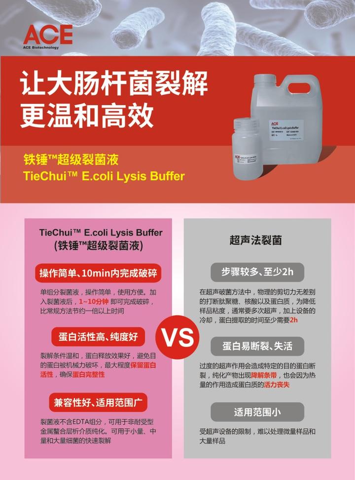 温和又高效：大肠杆菌裂解新思路 - 知乎