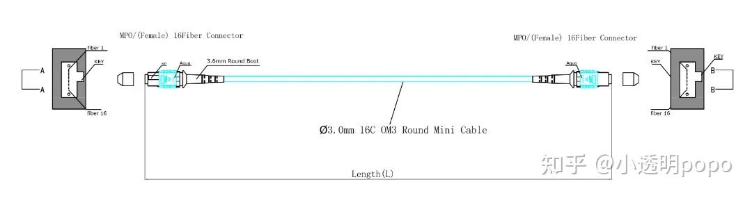 态路小课堂丨MPO/MTP-16光纤跳线 - 知乎