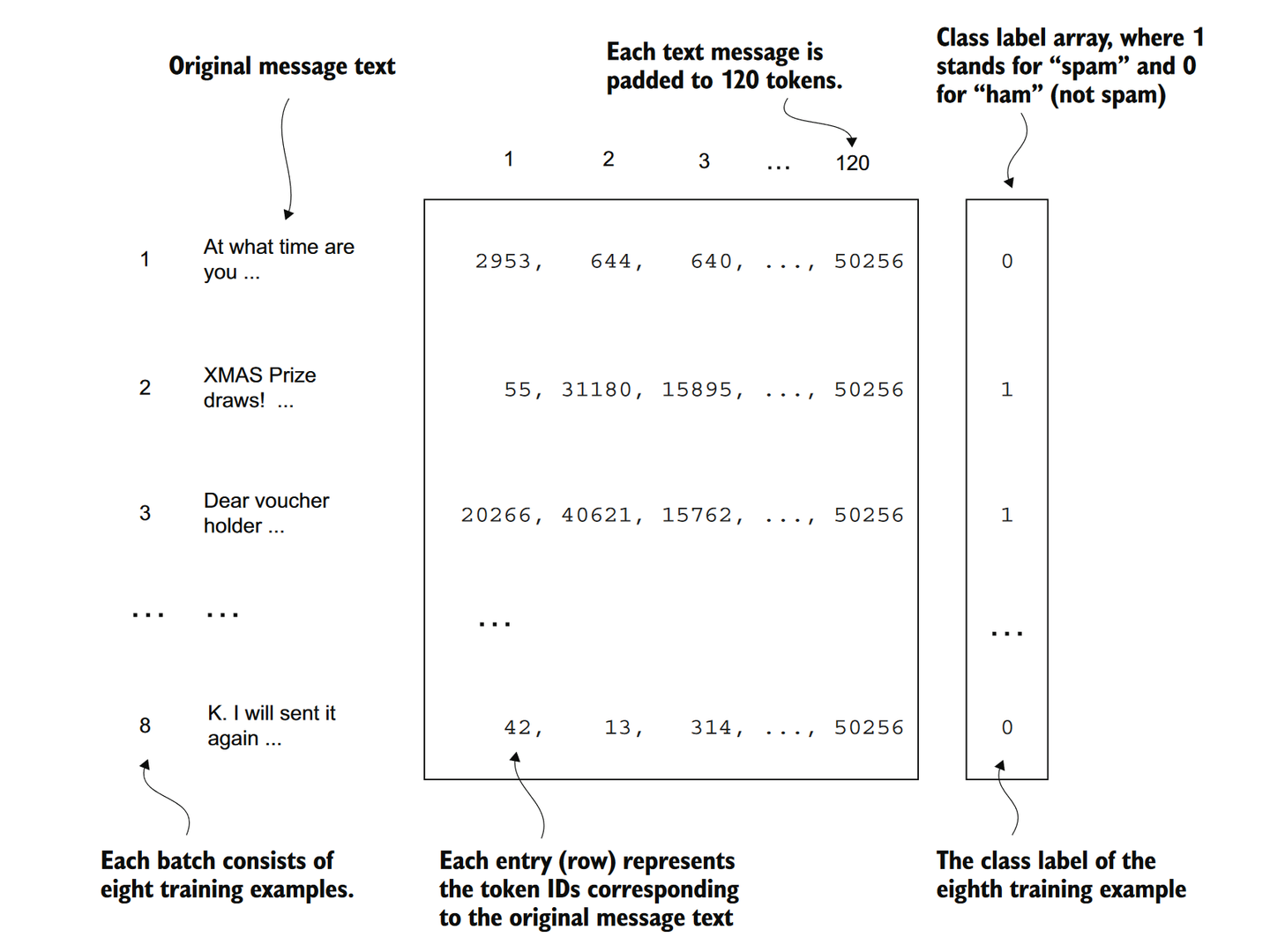 第六章 分类微调 Fine-tuning for classification - 知乎