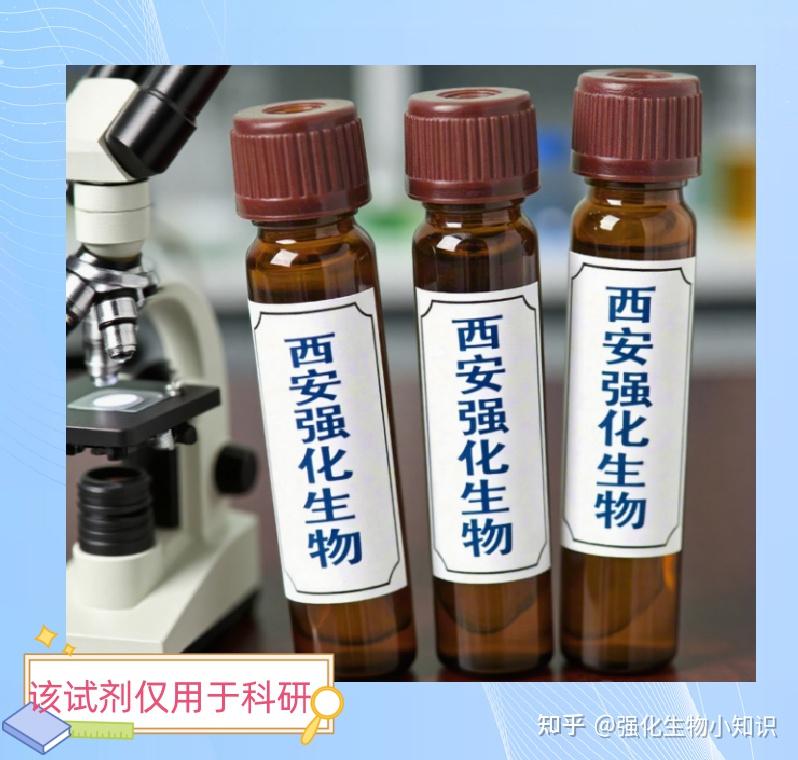 pBI121-EGFP Plant Expression Vector的应用场景（综合指南） - 知乎
