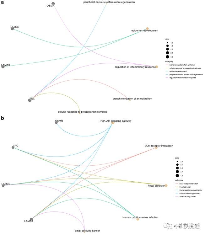 TCGAplot——为什么它在泛癌分析和可视化中这么好用？ - 知乎