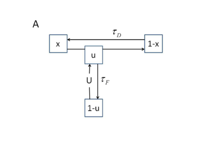 Short-term synaptic plasticity【短期突触可塑性】 - 知乎