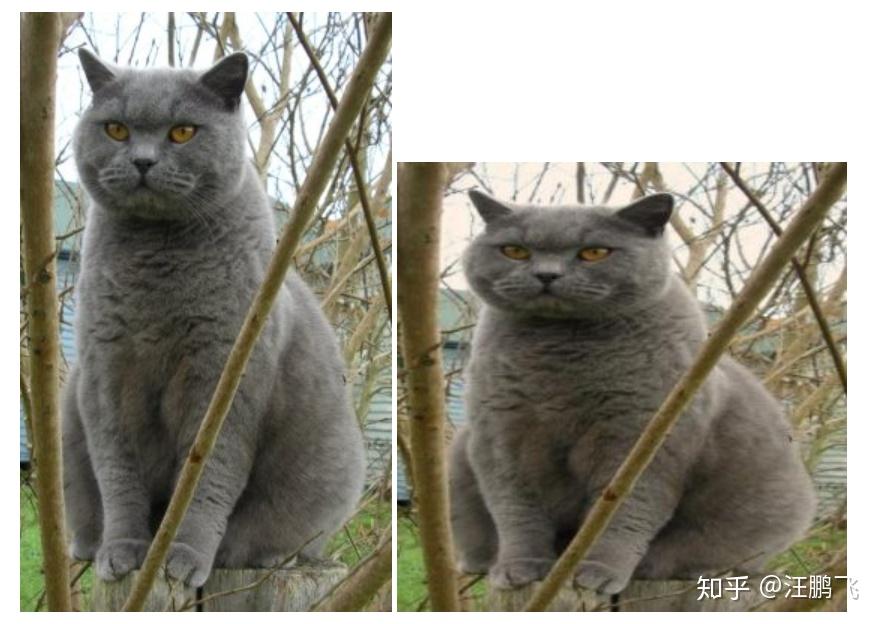 [cs231n] Python Numpy 教程 - 知乎