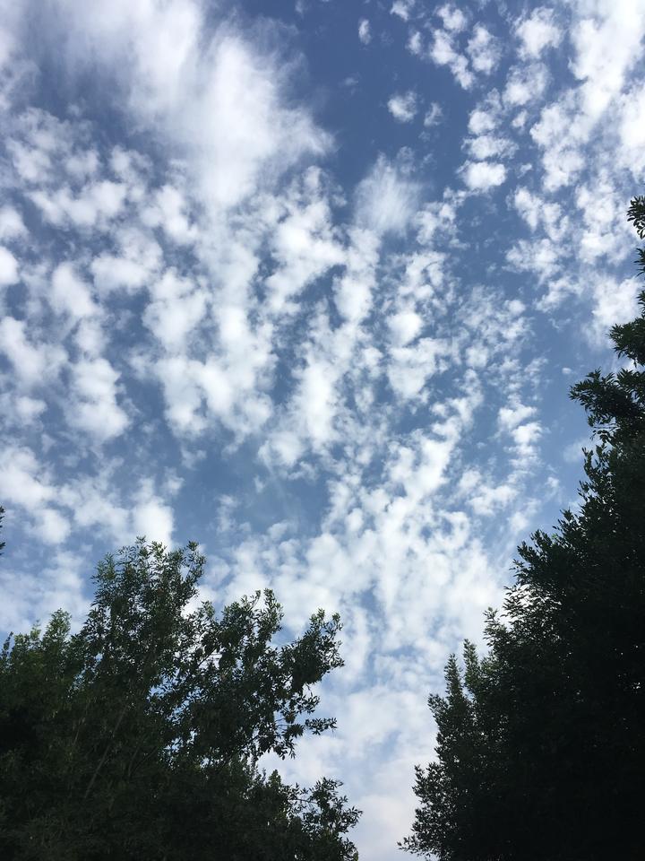 cmake：add_subdirectory() 注意事项 - 知乎