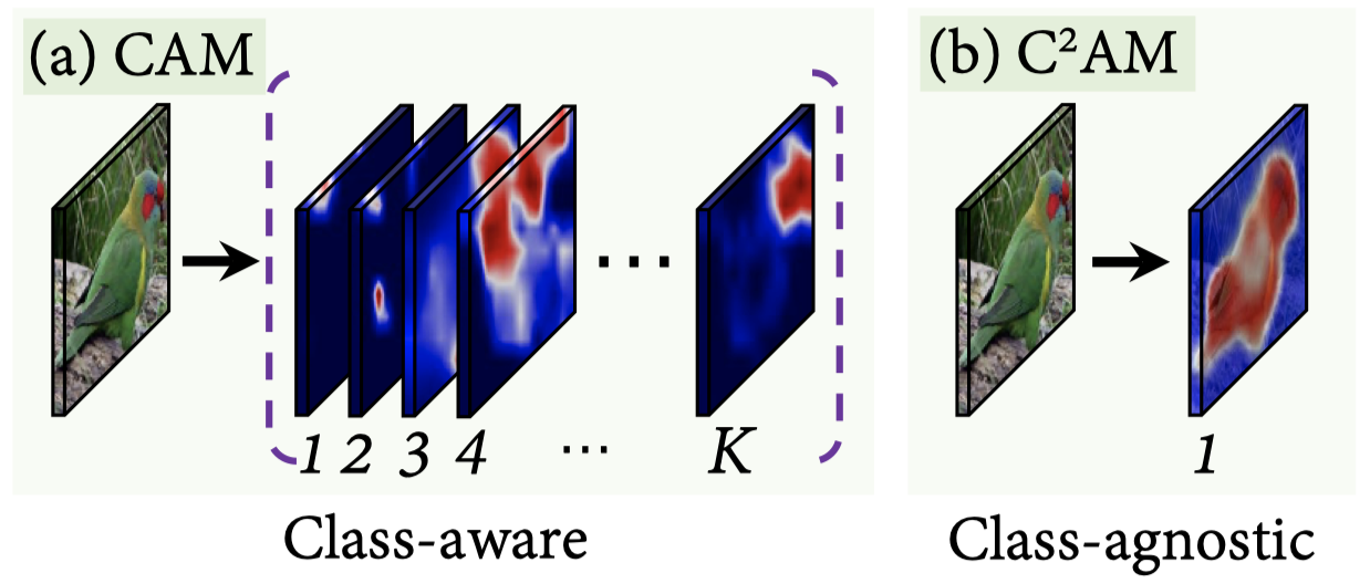 CVPR '22｜CCAM：对比学习区分前景与背景 - 知乎