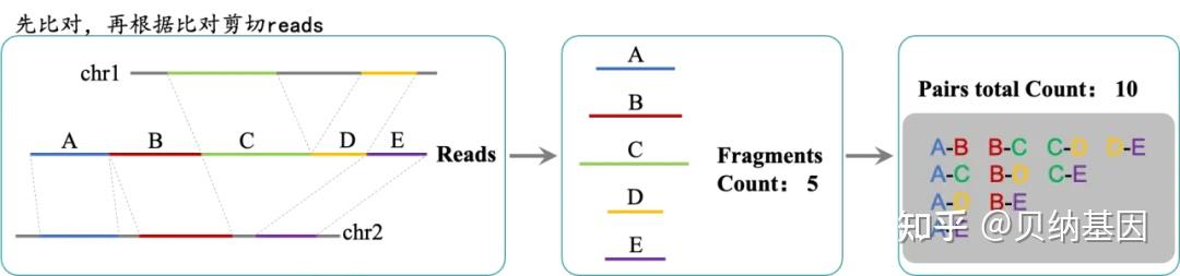 Pore-C数据评估新方法与新指标：揭开多维基因组互作的奥秘 - 知乎
