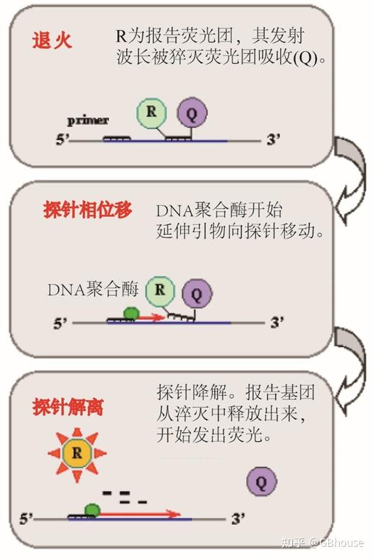 带你了解PCR、Real-Time PCR、RT-PCR、qRT-PCR你知道或者不知道的信息 - 知乎