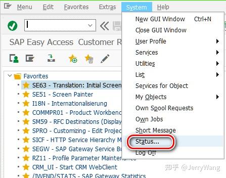 什么是 SAP ABAP FDA - Fast Data Access 技术？ - 知乎