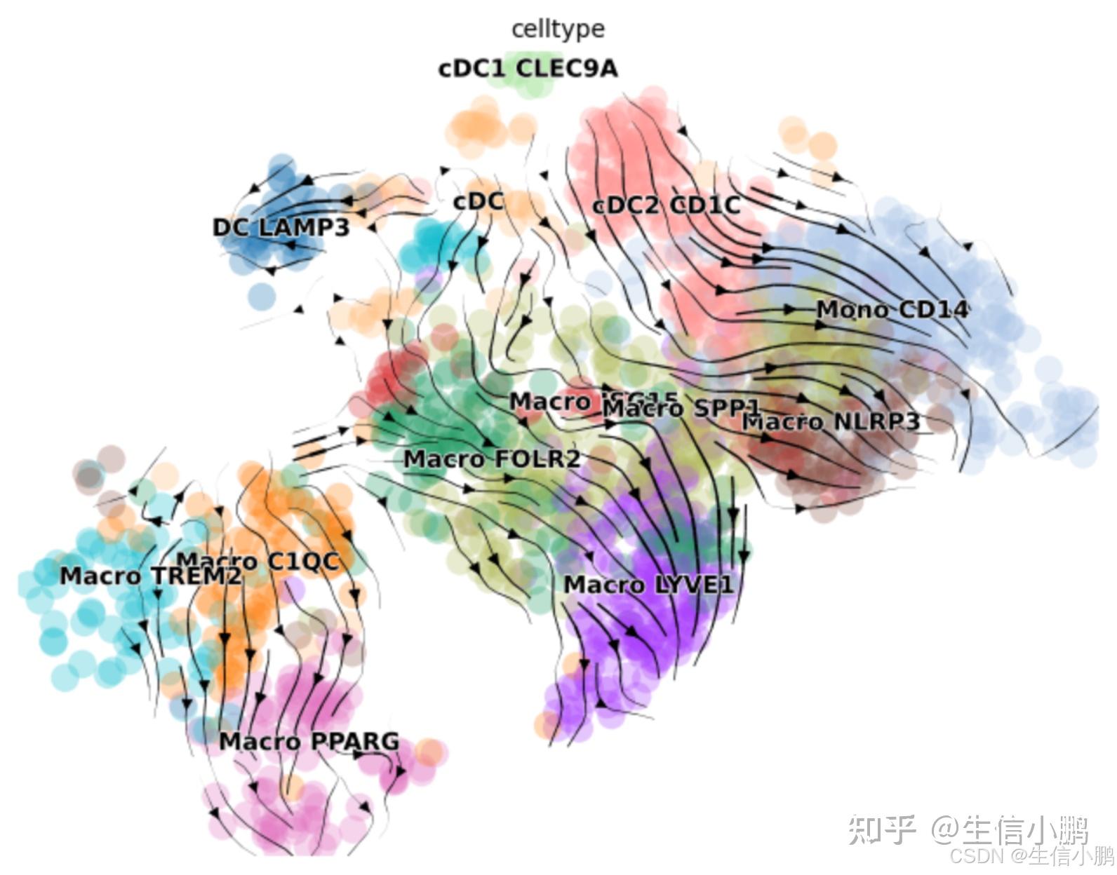 单细胞分析（16）—— RNA Velocity 分析流程 | RNA速率实操的干货内容 - 知乎