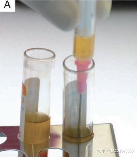 PPP，PRP、PRF都是什么，有什么区别？ - 知乎